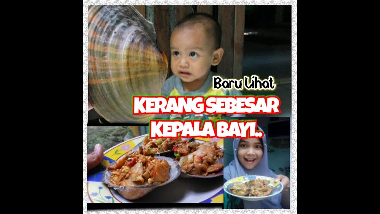 BENERAN GAK SIH??. KERANG SEBESAR KEPA BAYI.. - YouTube