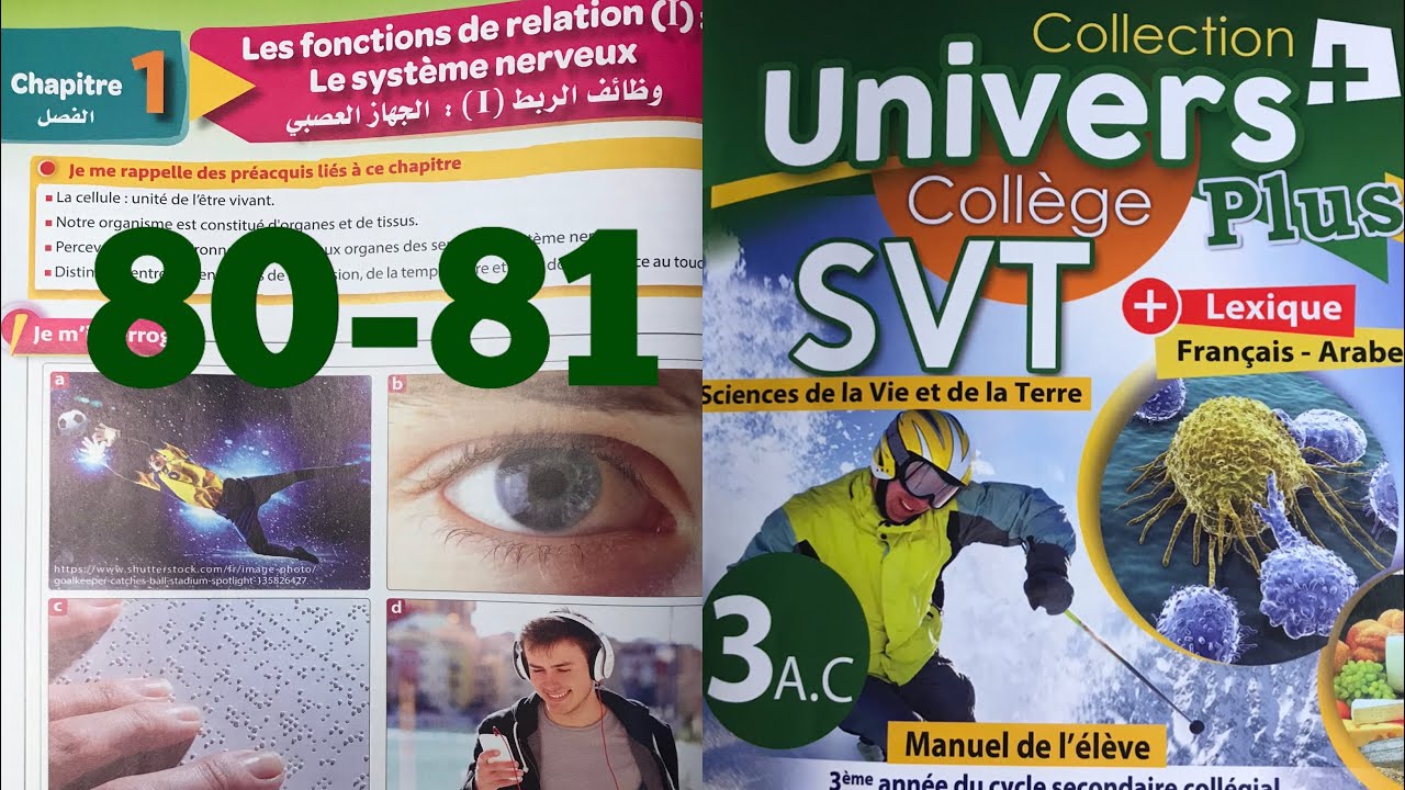 Univers SVT 3AC biof. Chapitre 4 le système nerveux. الجهاز العصبي page ...