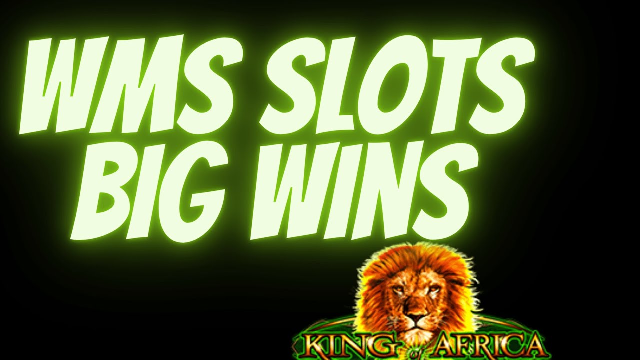 WMS SLOT MACHINES BIG WINS | King of Africa & enchanted darkness FREE ...