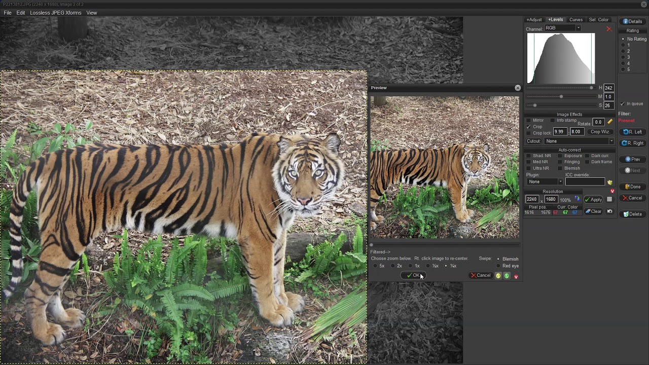 Qimage Ultimate - Using Levels - YouTube