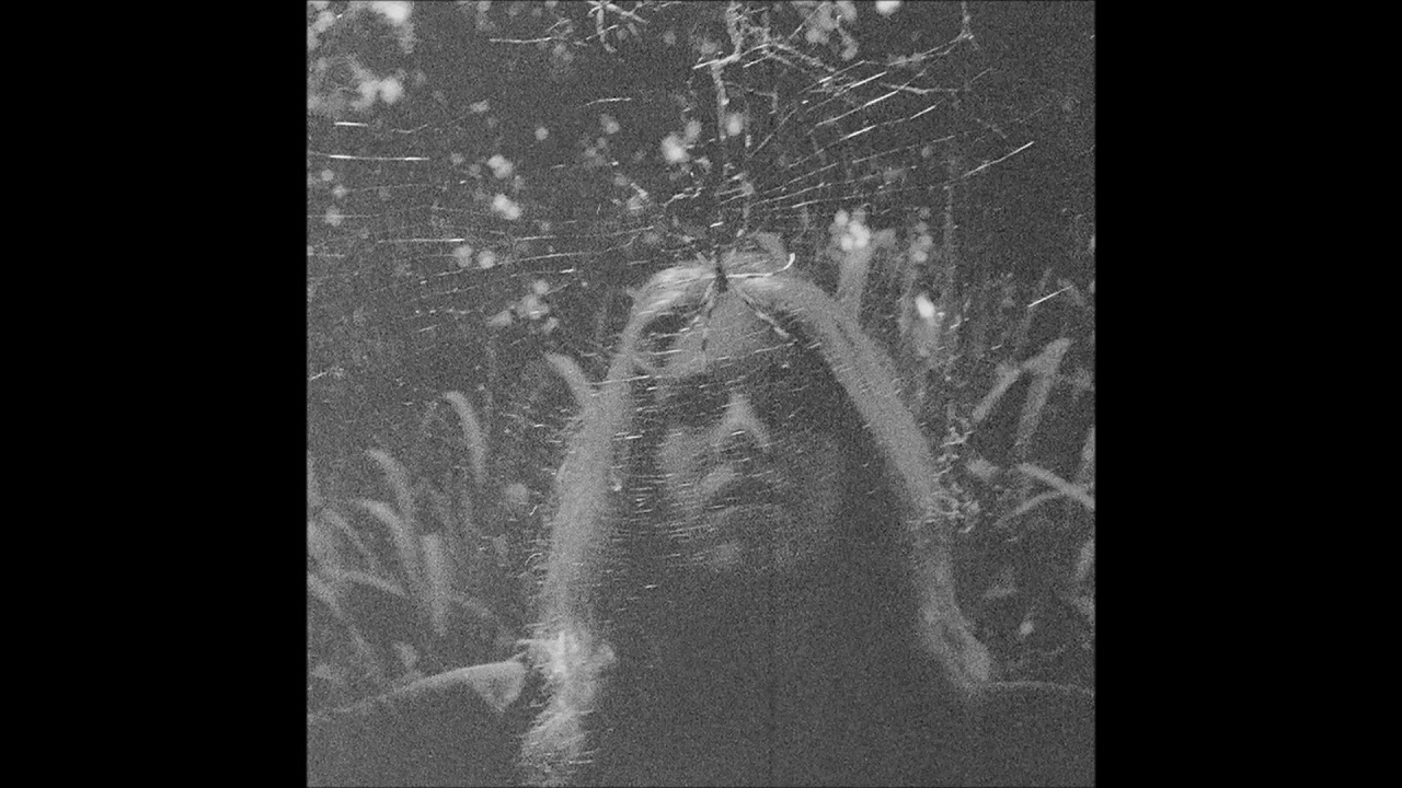Turnover - "Peripheral Vision" (Full Album, Slowed To Simulated 16 2/3 ...