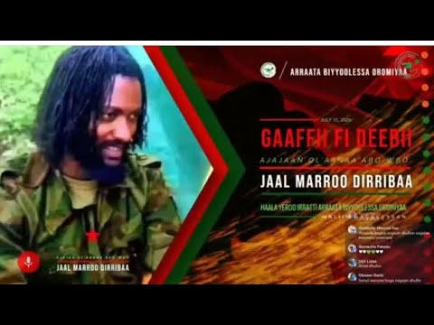 Gaaffiif Debbie Jal marroo diribaa walini - YouTube