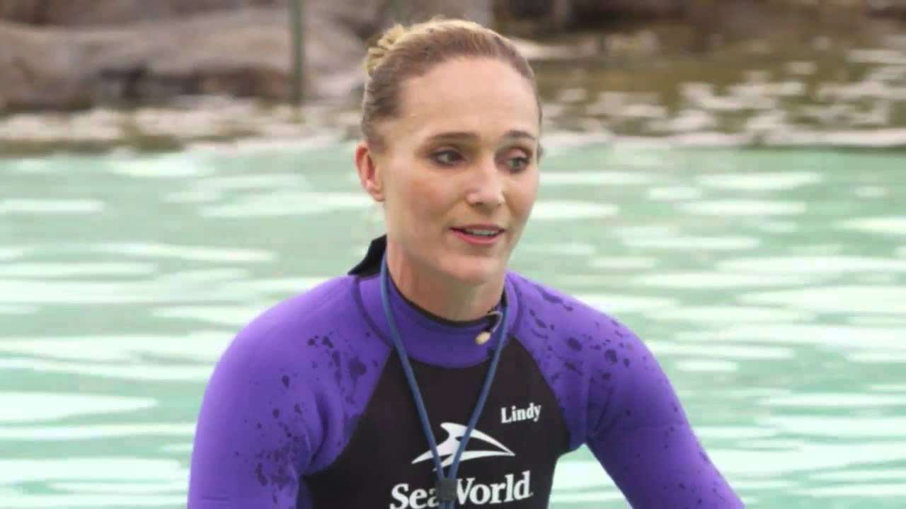 Seaworld Trainer love for Orcas - YouTube