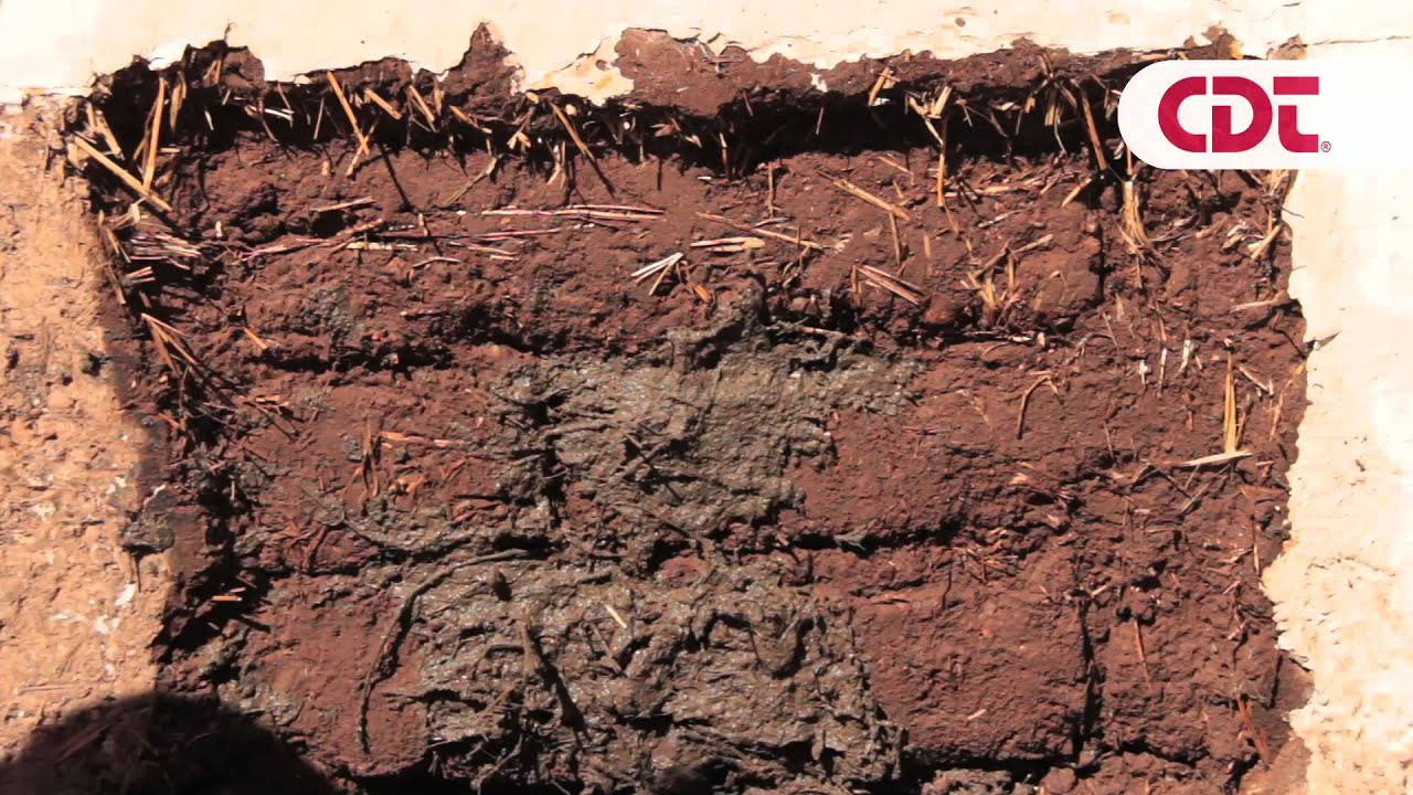 Manual de Terreno Tierra Cruda (CDT) - Revoque de barro - YouTube