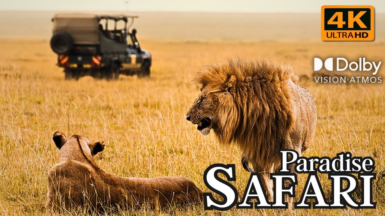 Safari World: Unveiling the Global Tapestry of Wildlife Wonders in ...