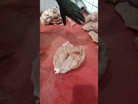 tavuk göğüs kemiksiz