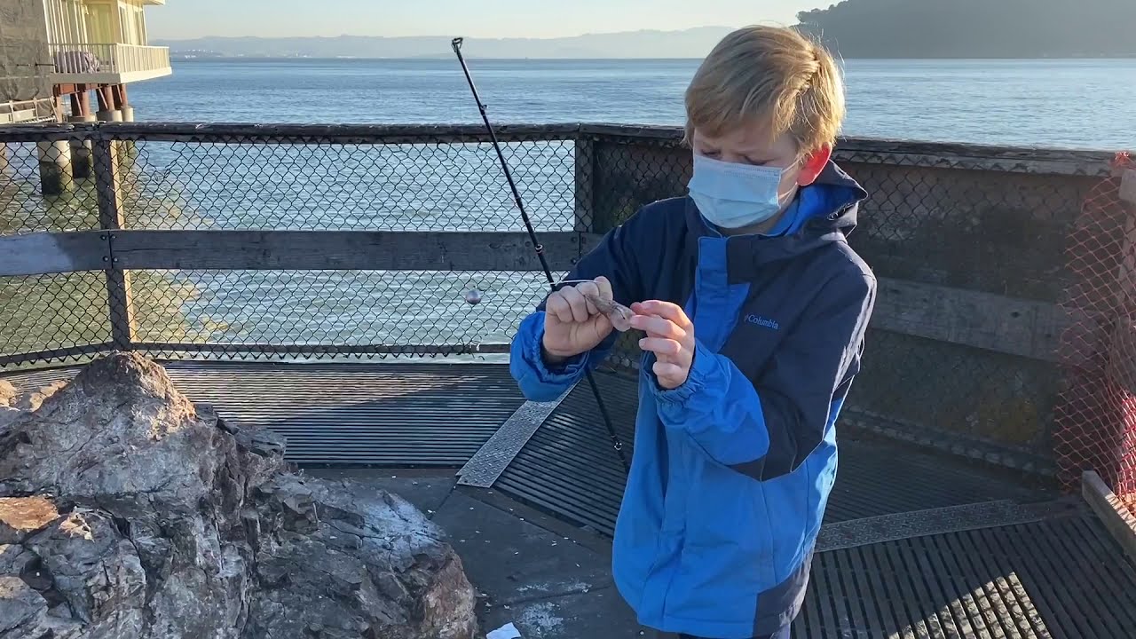 Fishing at Elephant Rock in Tiburon - YouTube