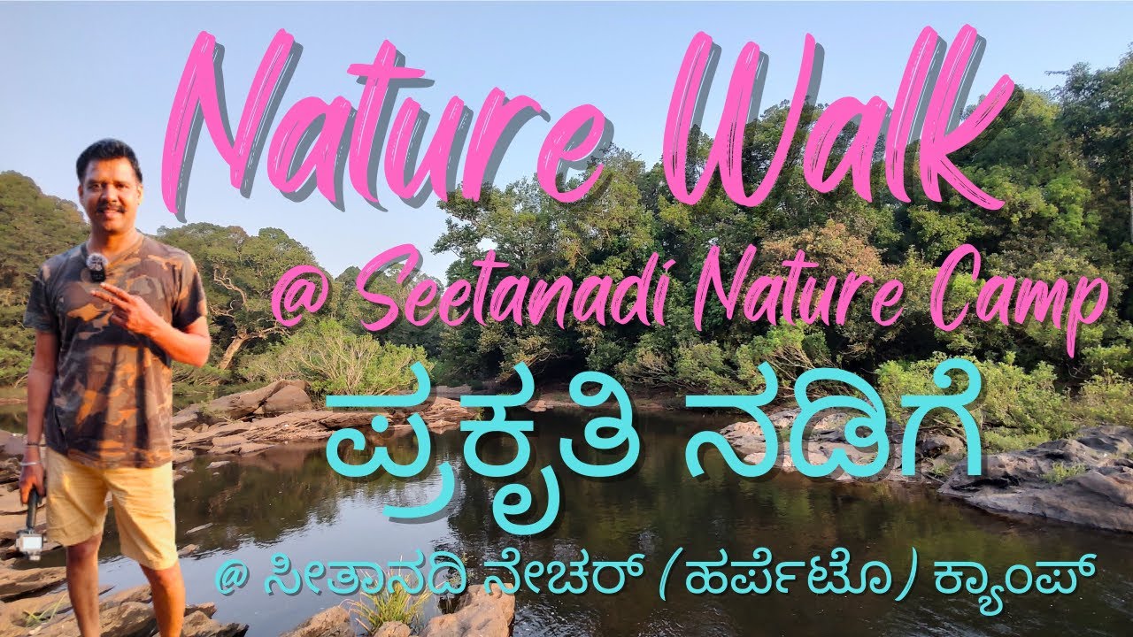 Malnad EP 13 | ಸೀತಾನದಿ ನೇಚರ್ (ಹರ್ಪೆಟೊ) ಕ್ಯಾಂಪ್ | ನೆಚರ್ ವಾಕ್ ...