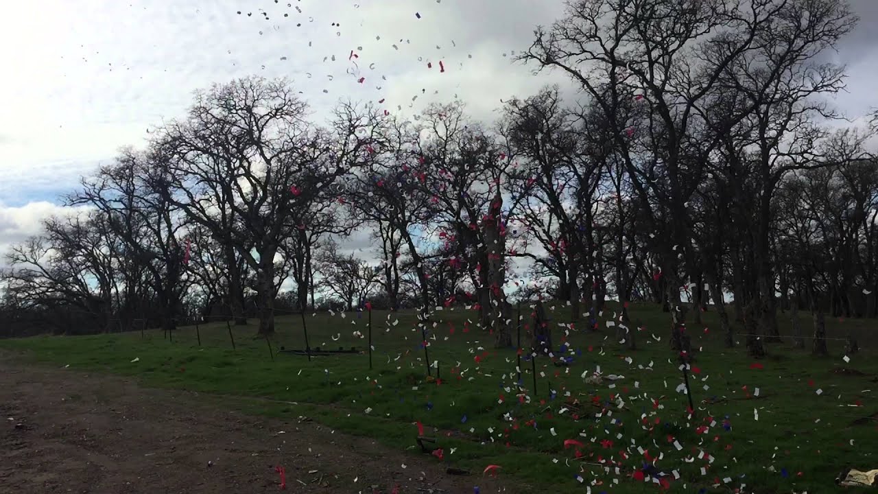 Showtime fireworks Confetti Blaster - YouTube