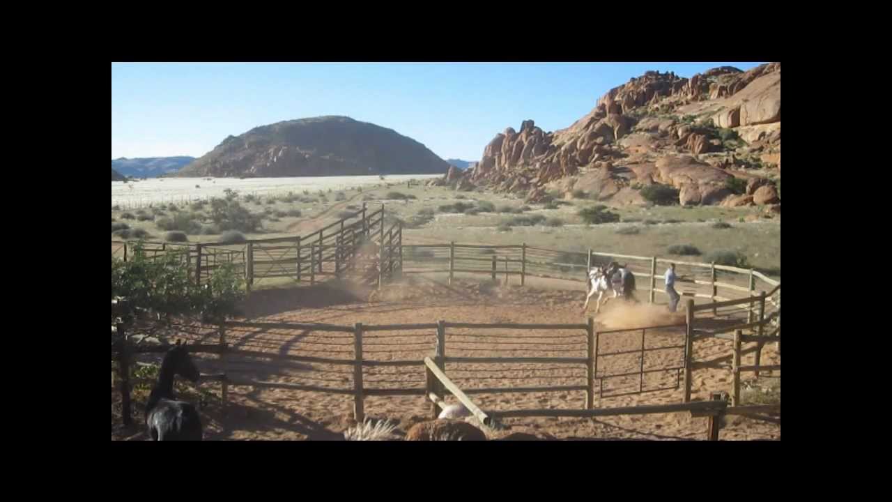 Colt starting at Ranch Koiimasis - YouTube