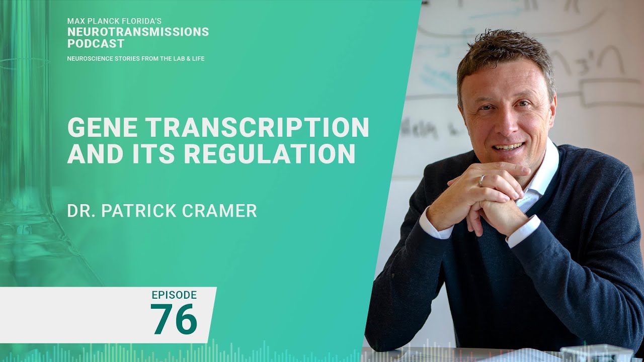 Podcast Ep. 76 - Gene Transcription and Its Regulation with Patrick ...