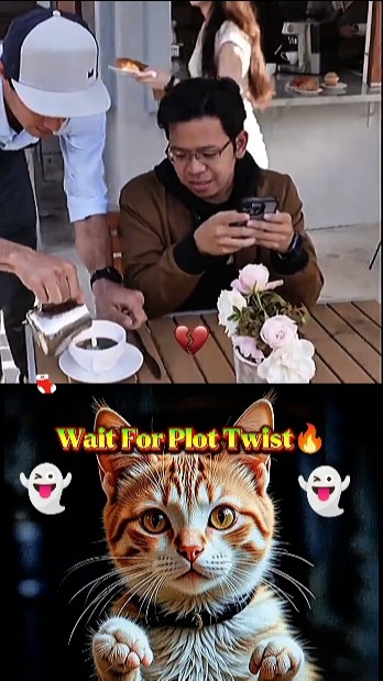 Wait For Plot Twist 🔥#cat #meme #funny - YouTube