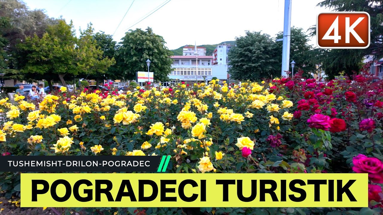 POGRADECI QYTET TURISTIK, TUSHEMISHT, DRILON POGRADEC, ASMR SOUND OF ...