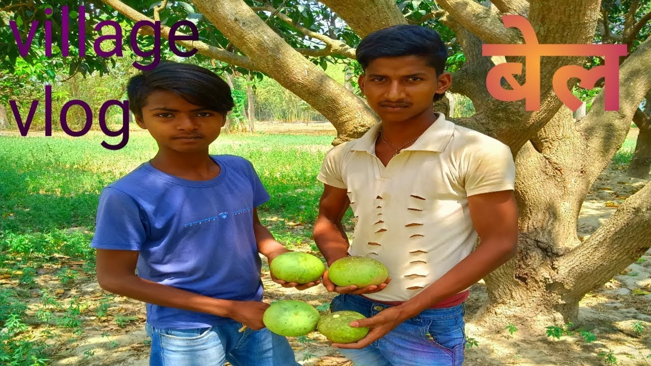 indian street food Bel bihar village vlog||mx vlog - YouTube