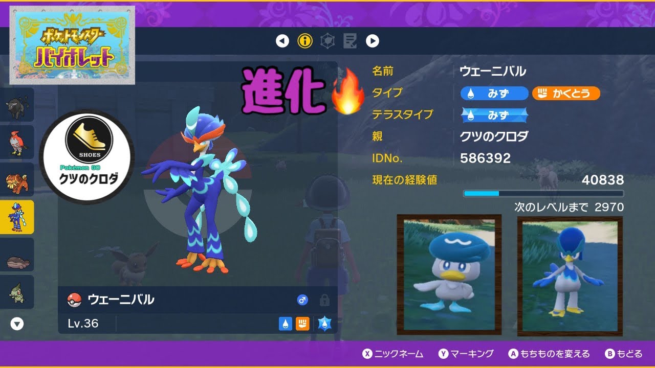 【ポケモンSV】Quaxly → Quaxwell → Quaquaval Evolve 🔥 - YouTube