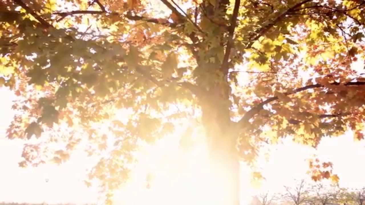 The Spirit of Thanksgiving | Mormon Hub - YouTube