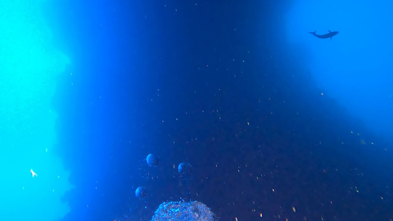 #131- 2023 Blue Hole Arch of Dahab Divers Cemetery 100 Meter Technical ...