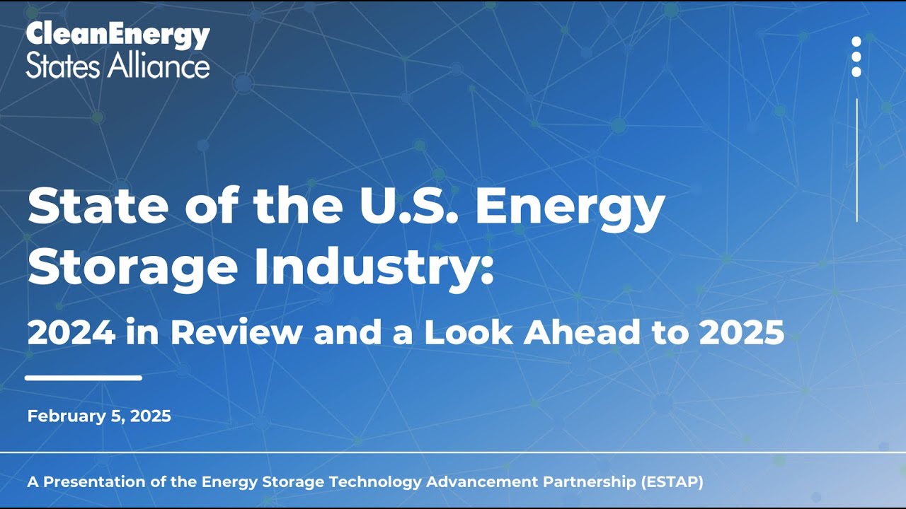 State of the U.S. Energy Storage Industry: 2024 in Review and a Look ...