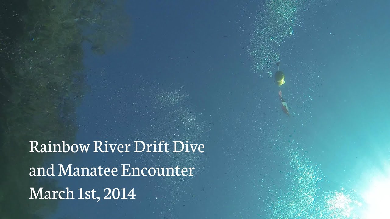 2014-03-01 - Rainbow River and Manatee - YouTube