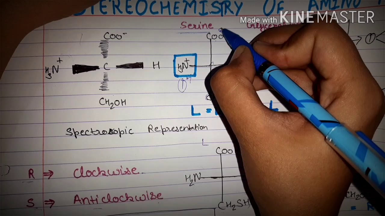 Stereochemistry of Amino acids || R-S Configuration of amino acids|| b ...