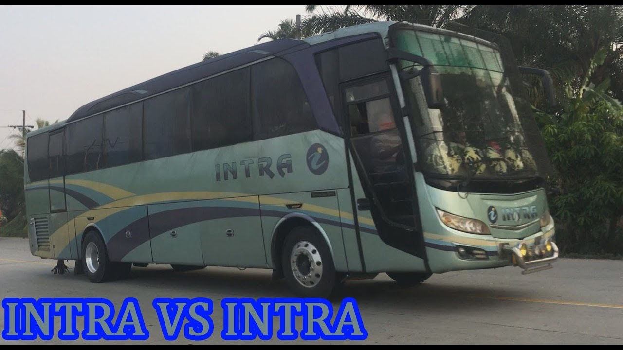BUS INTRA EXECUTIVE VS BUS INTRA EKONOMI ADU SKILL - YouTube