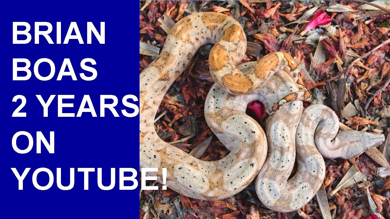 Brian Boas Celebrates 2 Years on YouTube! - YouTube