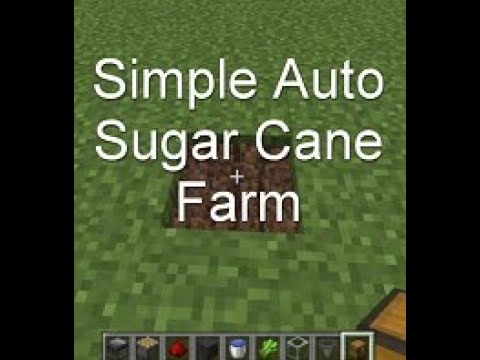 EASY Auto Sugar Cane Farm in Minecraft- Tmoney Time - YouTube