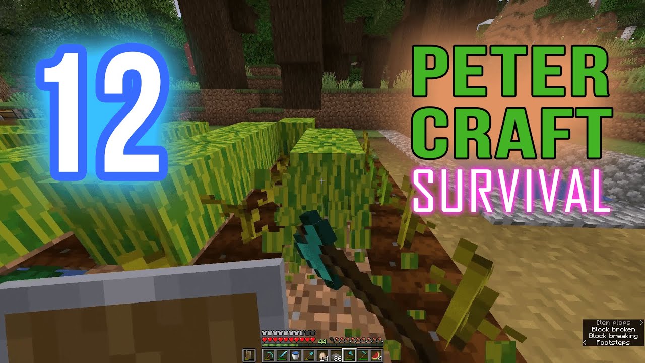 [12] Making Paintings and Auto-Composting! -- PeterCraft Survival - YouTube