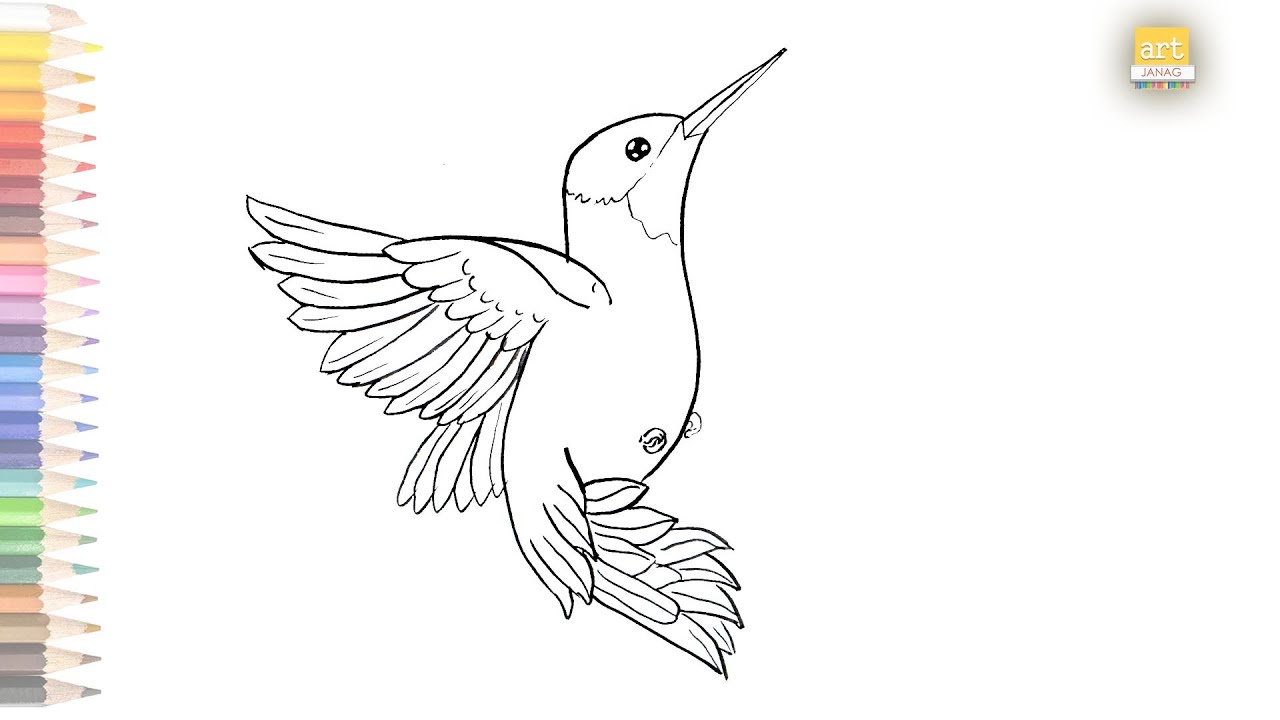 Humming bird outline drawing 02 / Draw A Humming bird simply / # ...