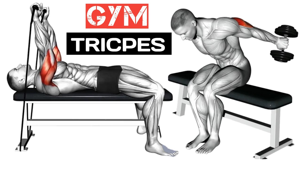 🔥How to make wider TRICEPS fast- - YouTube