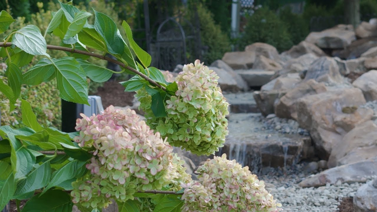 Custom Pondless Waterfall: 24-Foot Infinity Waterfall Build - YouTube