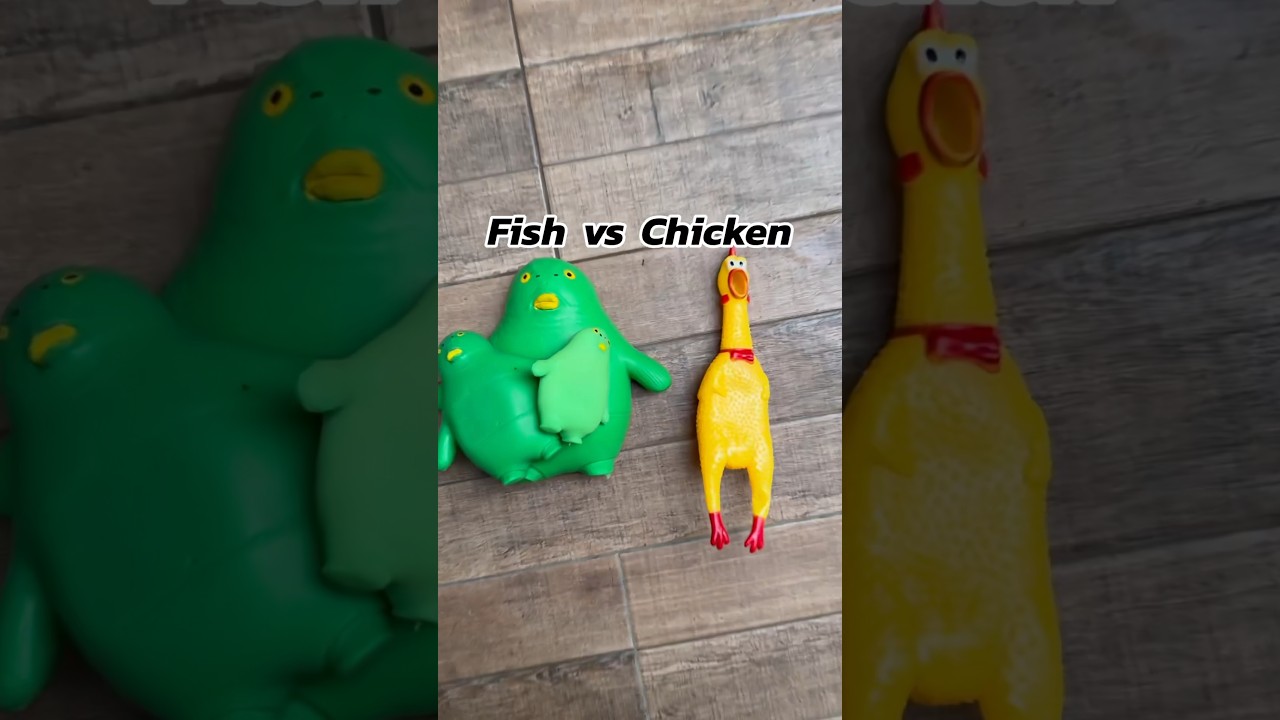 Fish🐠 vs Chicken🐓 Can you hit the chicken? #squishy #satisfying # ...
