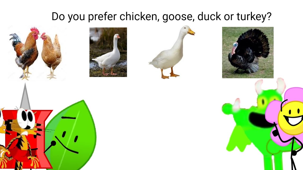 do you prefer chicken, goose, duck or turkey? (Aruna j series short ...