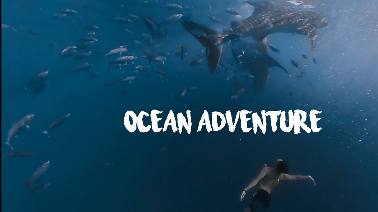 Ocean Adventures - YouTube