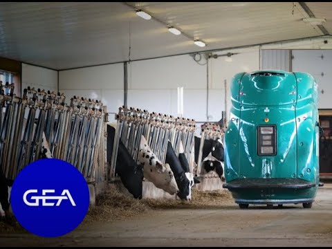 Everything to know about the GEA DairyFeed F4500 - Feat. Brian Morton ...