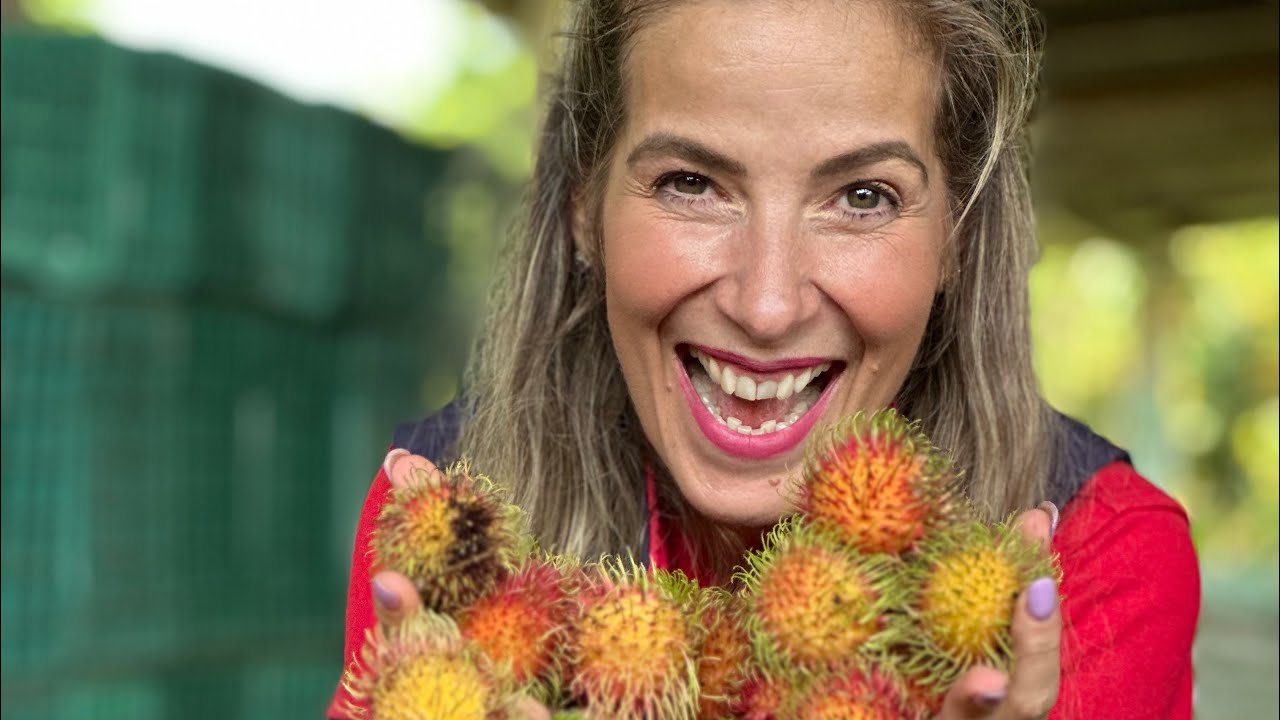 Fruto exotico y delicioso. El Rambután o lichi mexicano. Conoce los ...