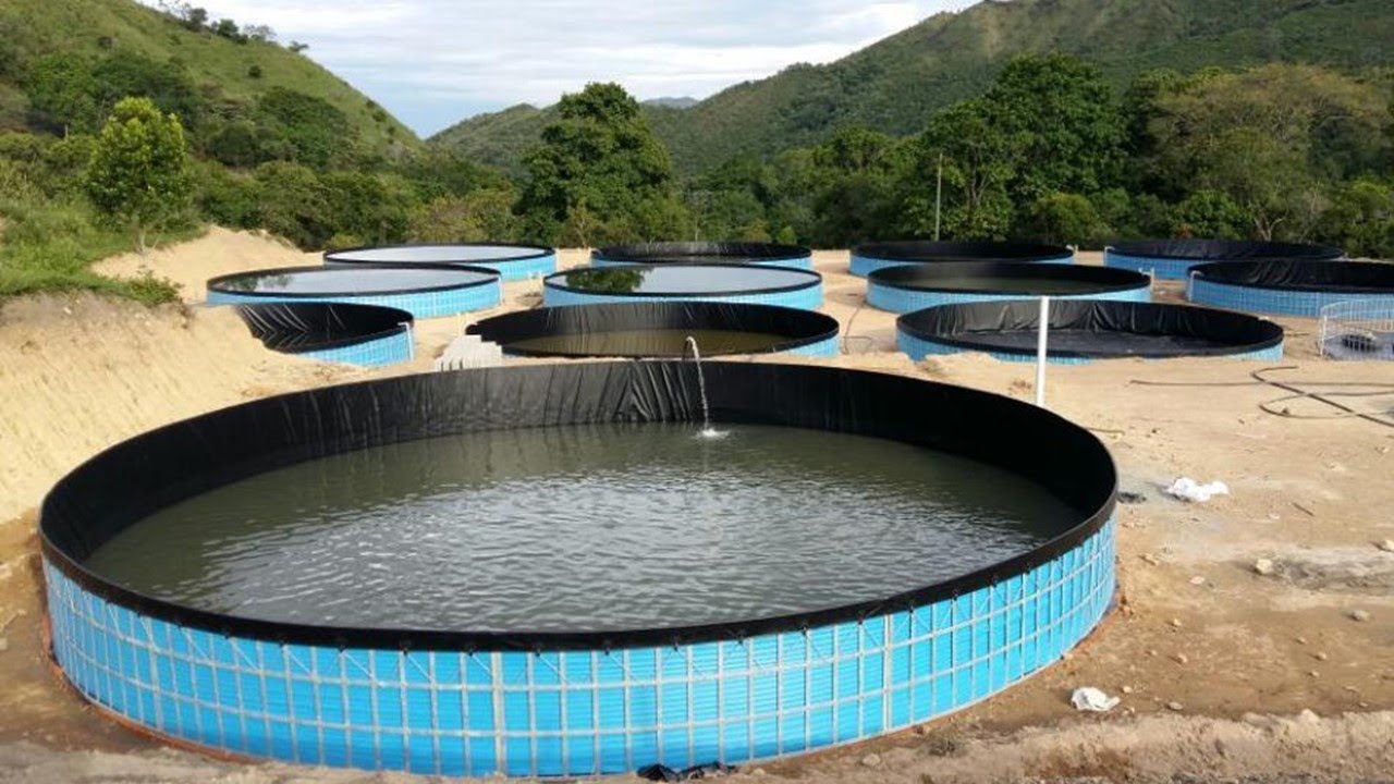 ¿Qué es un RESERVORIO? ¿Cuáles son sus CAPAS? - YouTube