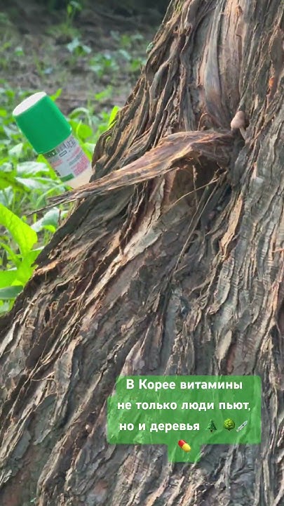 Корея.Наши в Корее.Корейские бады.Корейские витамины.Корейская ...