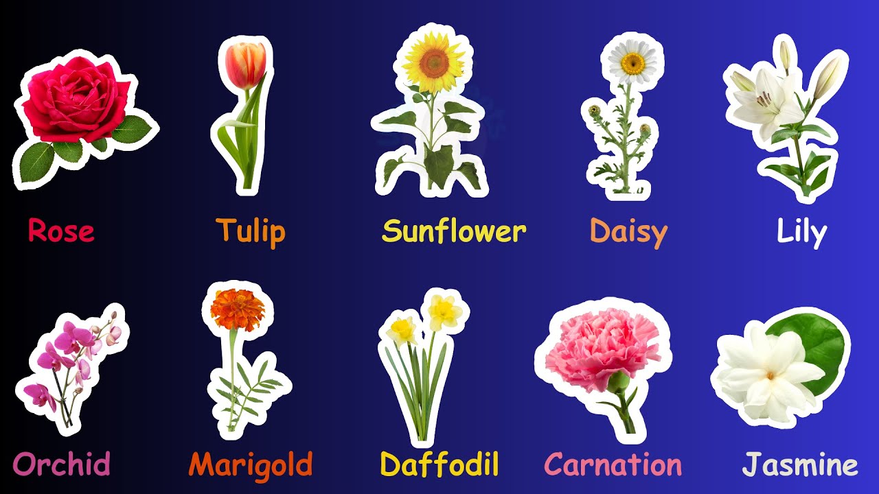 Types Of Flowers With Pictures And Names