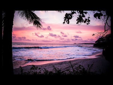 Soha - Mil pasos (with lyrics)