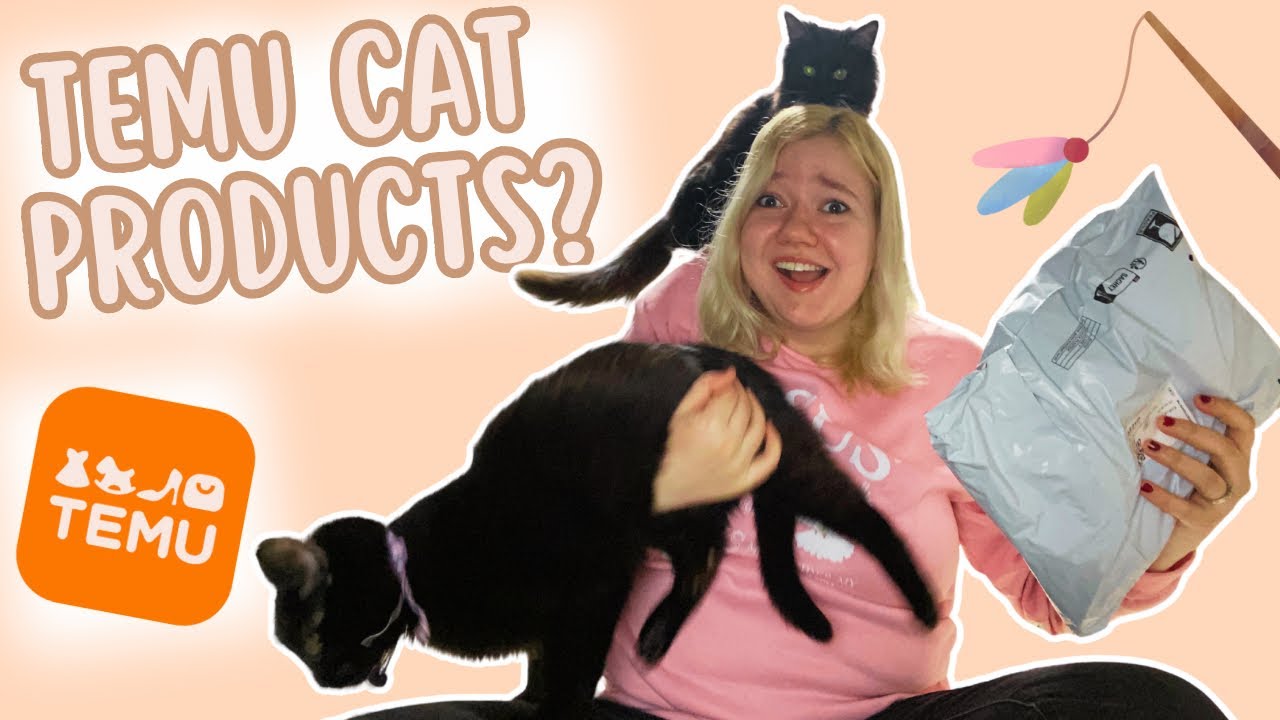 Kittens try TEMU cat products?! | success or fail? Let’s find out ...