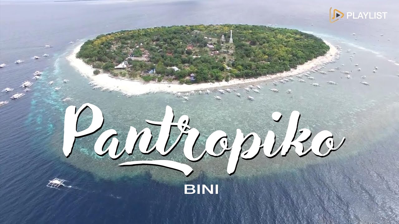 PANTROPIKO || BINI || PLAYLIST - YouTube