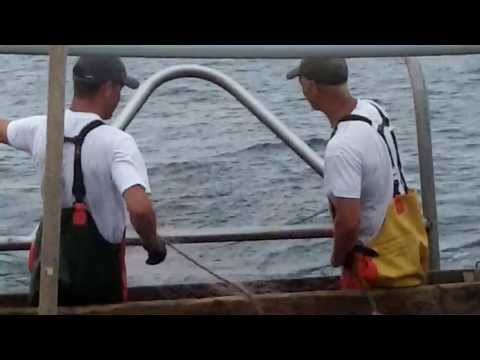 setting gill nets on the Mildred - YouTube