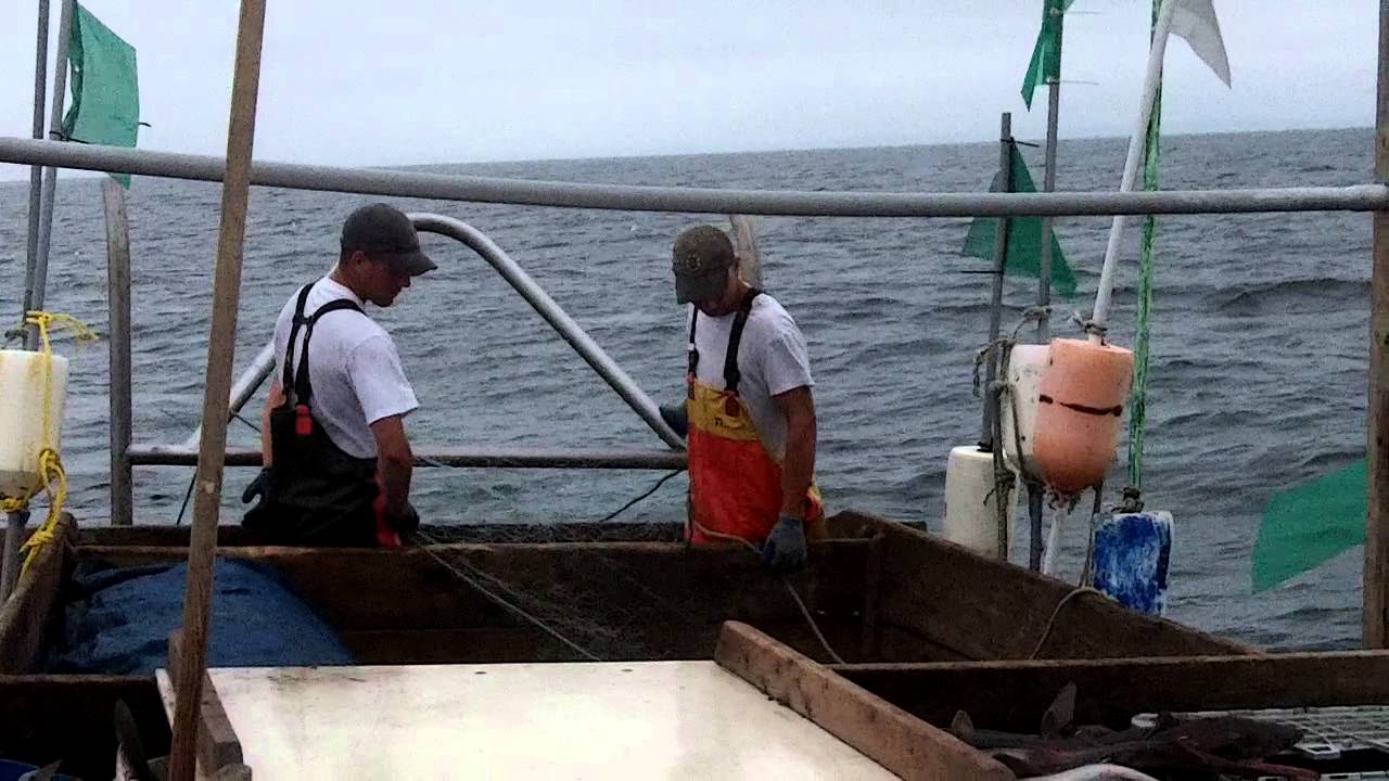 setting gill nets on the Mildred - YouTube