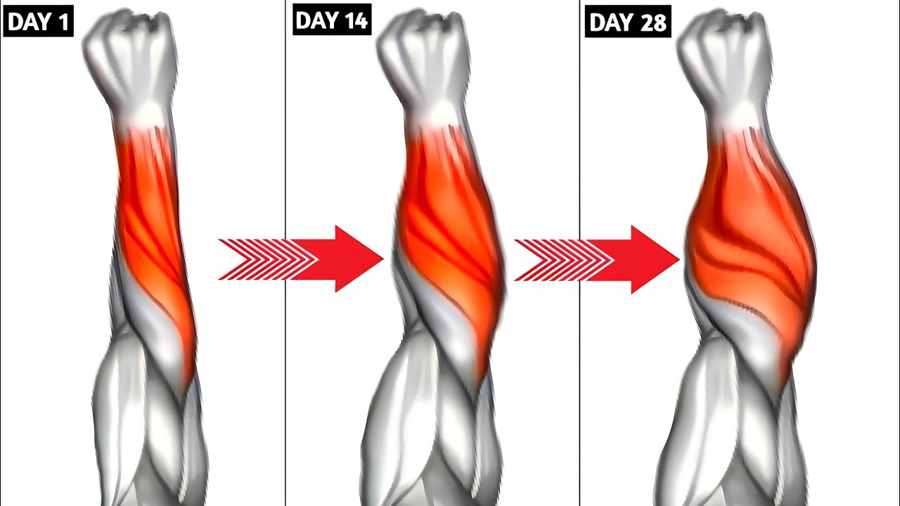 "Grow Your Forearms Muscles And Power Fast With These Exercises" - YouTube