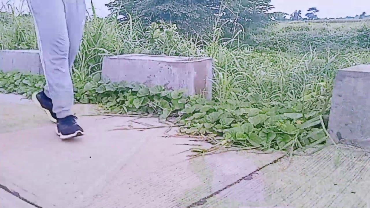 COFFIN DANCE JOGGING EDITION - YouTube