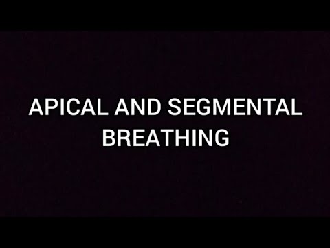 APICAL AND SEGMENTAL BREATHING - YouTube