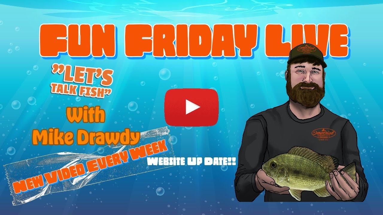 Let's talk fish with Mike D! - YouTube