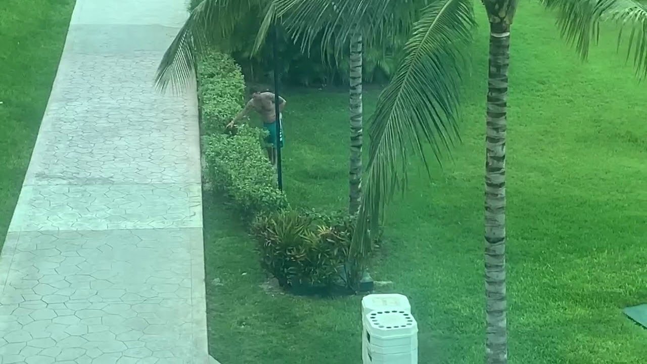 Stumbling Man Trips on Lawn || ViralHog - YouTube
