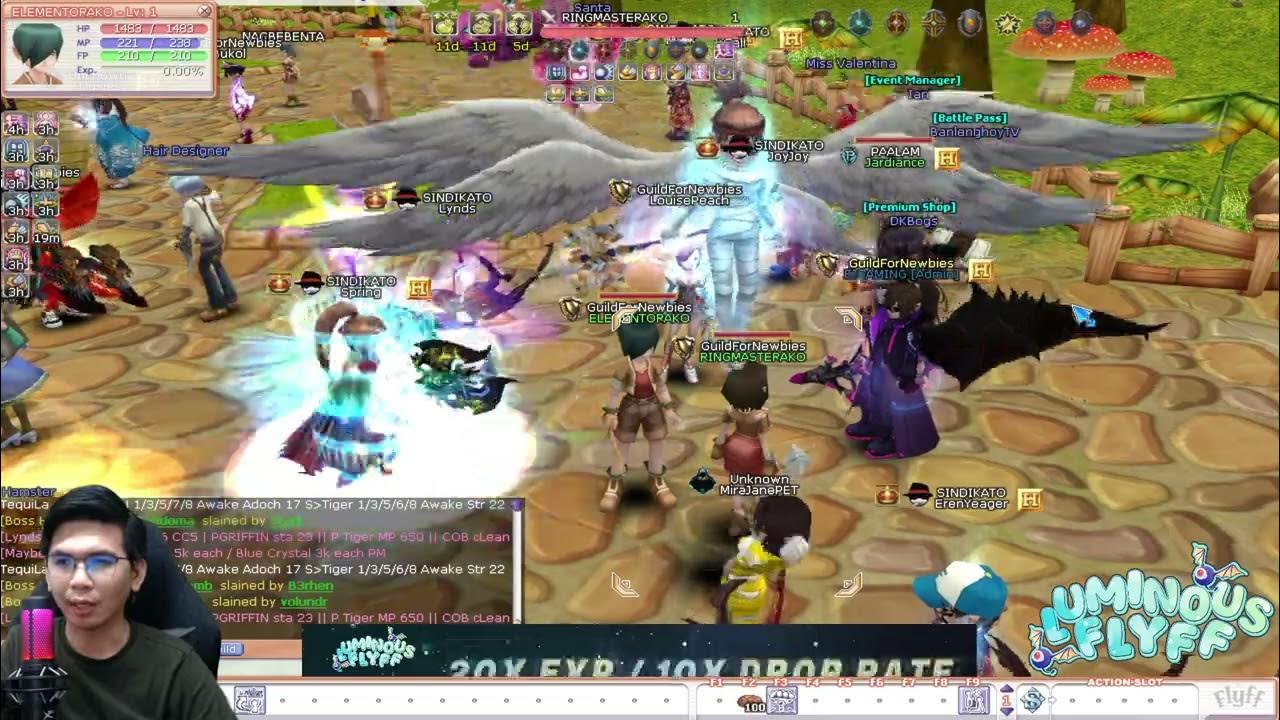 Luminous Flyff - Newbie Elementor I (Full Live Guide) - YouTube